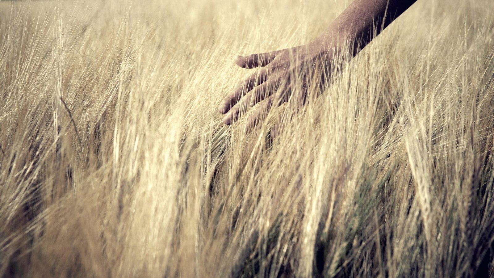 Emotional Intimacy vs. Physical Intimacy: Navigating Both in Subtle ...